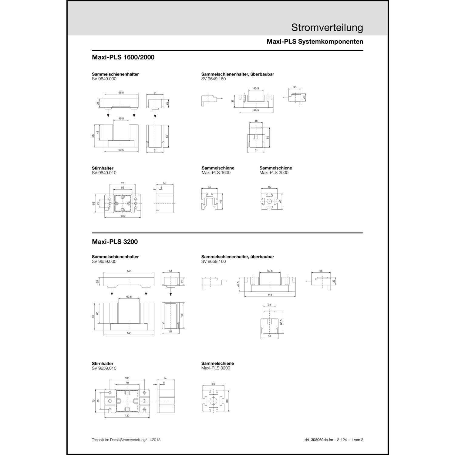9650920 RITTAL SV MAXI PLS GLEITMUTTERN - Gleitmutter