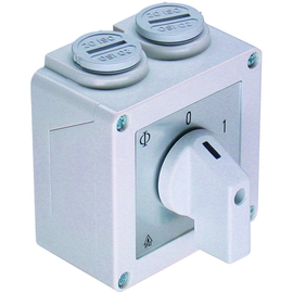 CA20 A410*GK+S1C T820 Kraus&Naimer Stern-Dreieck Schalter f. GK Gehäuse ...